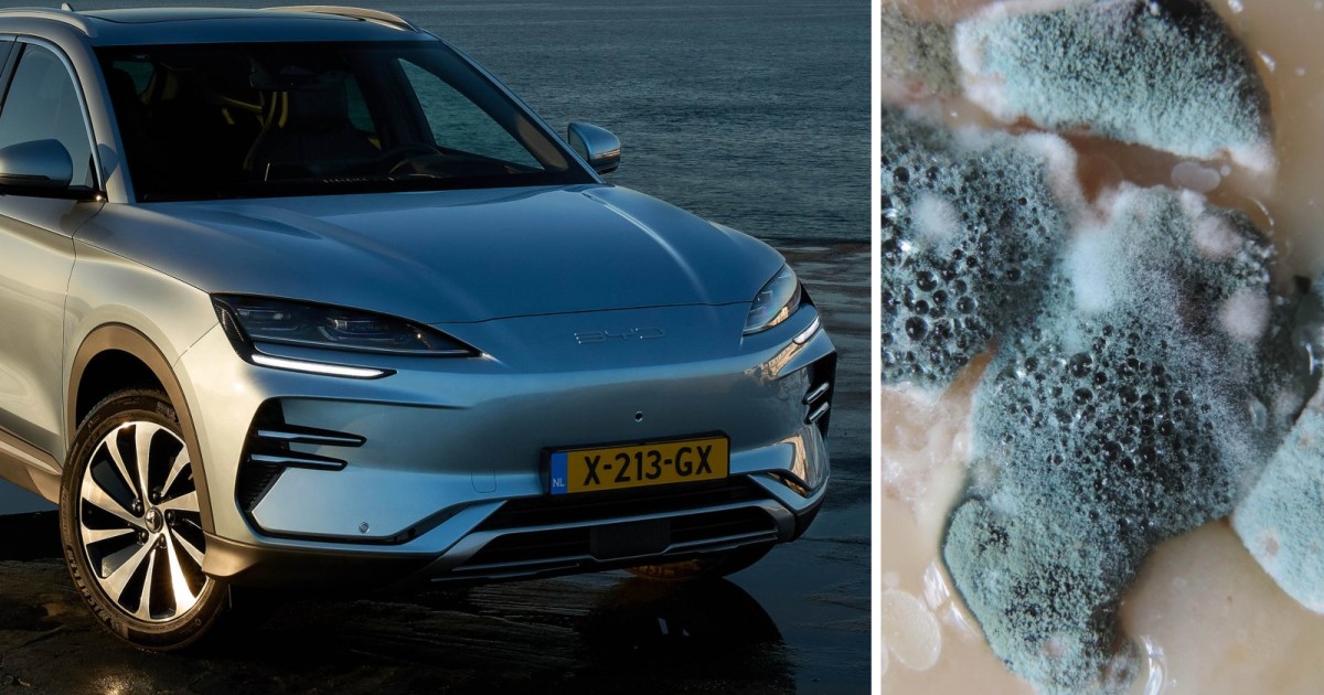 Uppgifter om mögelproblem på BYD-bilar | Vi Bilägare