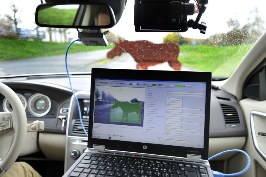 Volvo Animal Detection – bromsar för vilt | Vi Bilägare